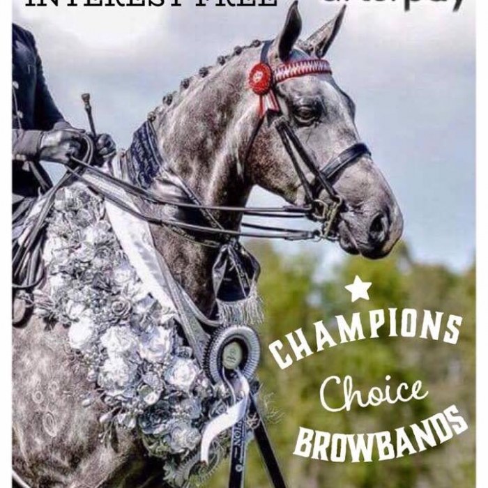 Browbands – Champions Choice Browbands