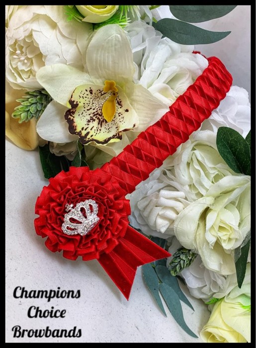 AB4405 Red – Champions Choice Browbands